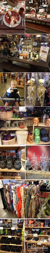 Spooky Halloween Party Set up